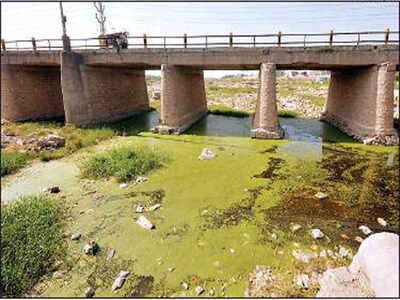 ‘Leaders promise plans to rein in pollution but disappear after polls ...