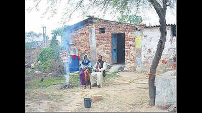 Gennext Sahariyas Feel Arrived: GenNext Sahariyas feel arrived, but ...