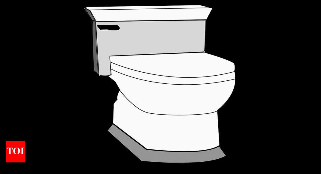 Temporary toilet blocks for less popular beaches | Goa News - Times of ...