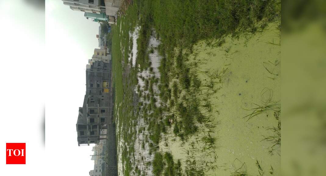 Sembakkam is Sinking - Times of India