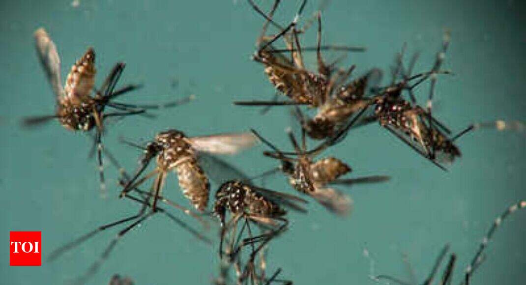 Six new antibodies developed to combat Zika - Times of India