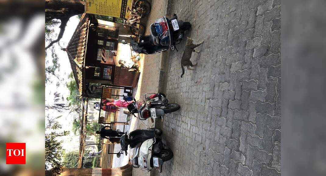 Patwardhan Park gate blocked - Times of India