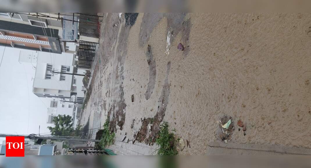 A walk through the pits - Times of India