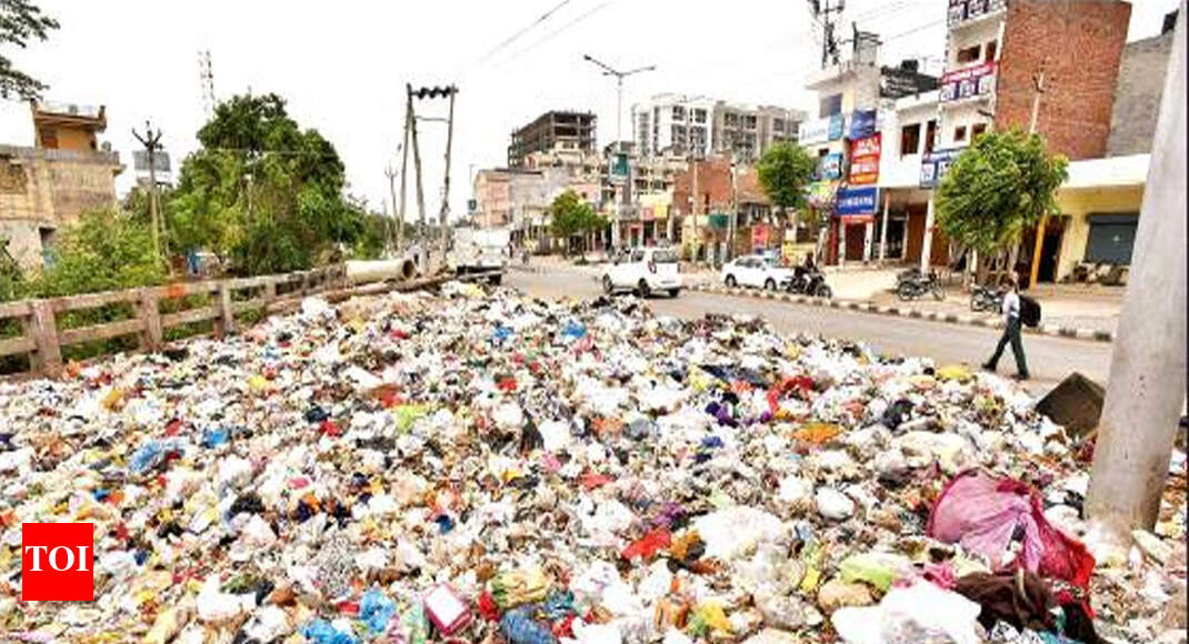 Zirakpur residents want proper garbage disposal system | Ludhiana News ...