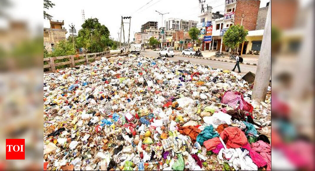 Zirakpur residents want proper garbage disposal system | Ludhiana News ...