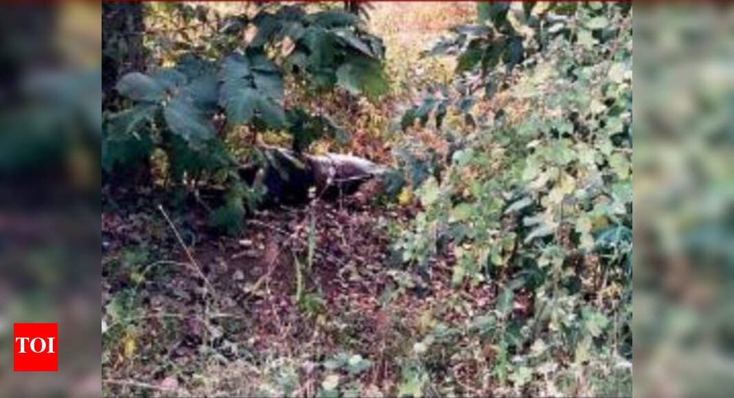 Missing Ghatkopar jeweller’s body found in Panvel | Mumbai News - Times ...