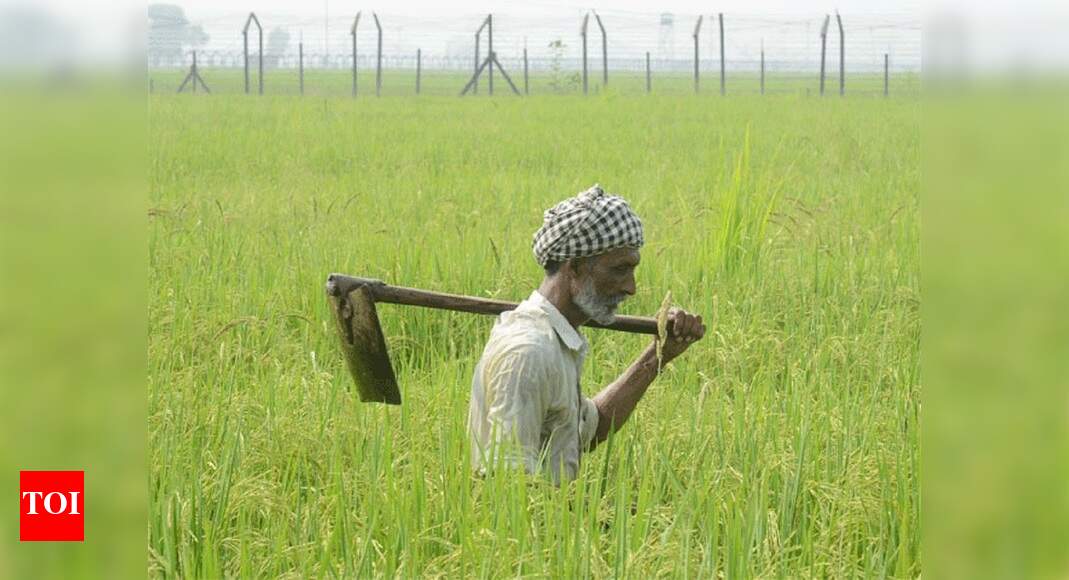 The farmer’s biggest enemy? The Indian state - Times of India