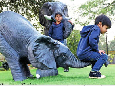 Nandan Van makes its debut at Greater Kailash | Delhi News - Times of India