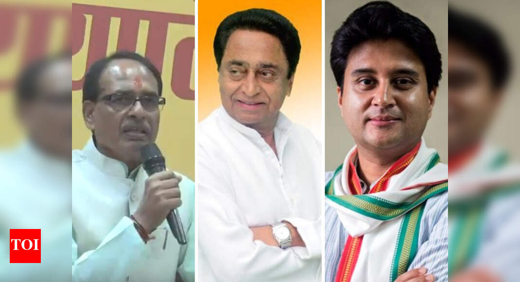 MP election results live: Congress single-largest party with 114 seats