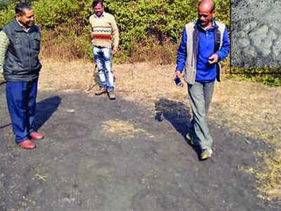 After tiger, leopard takes refuge in abandoned rubber factory ...