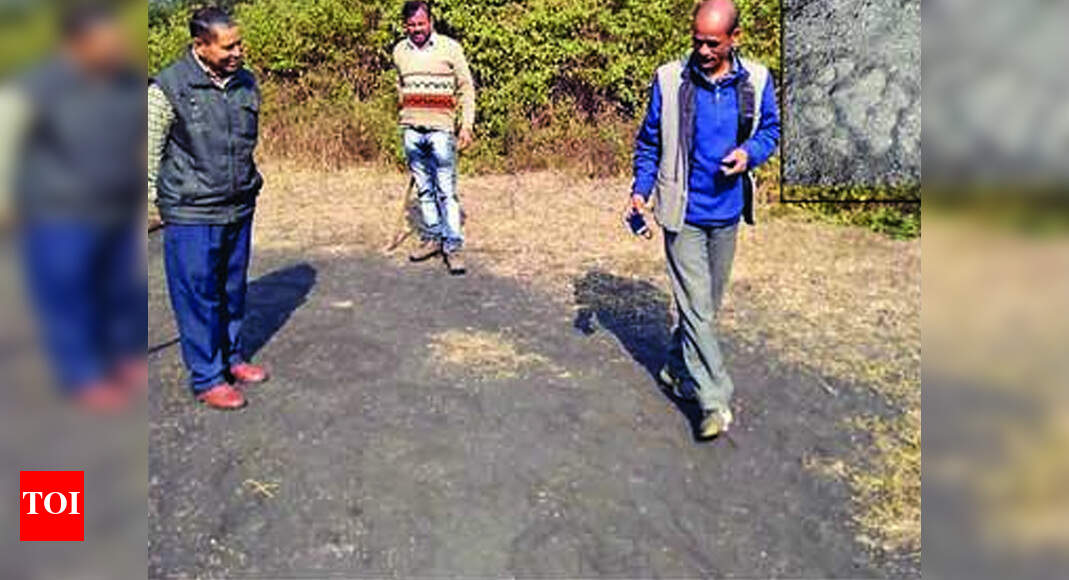 After tiger, leopard takes refuge in abandoned rubber factory ...