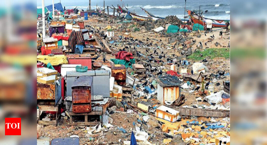 Fishy business on Marina Loop Road, HC talks tough | Chennai News ...