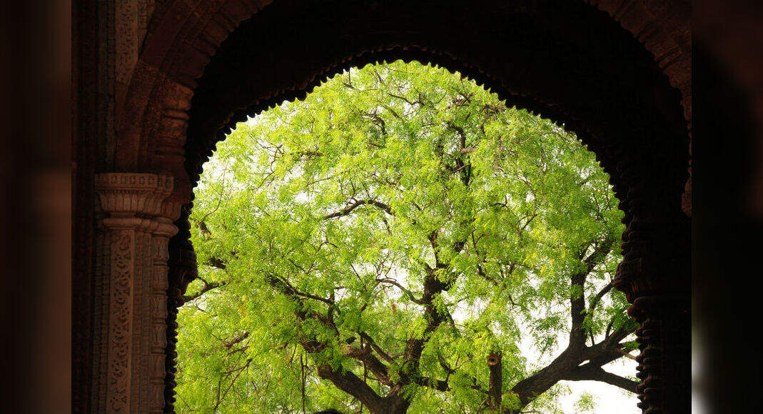 Explore these secrets of Mehrauli to witness Delhi’s unseen side ...