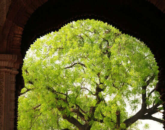 Explore these secrets of Mehrauli to witness Delhi’s unseen side ...