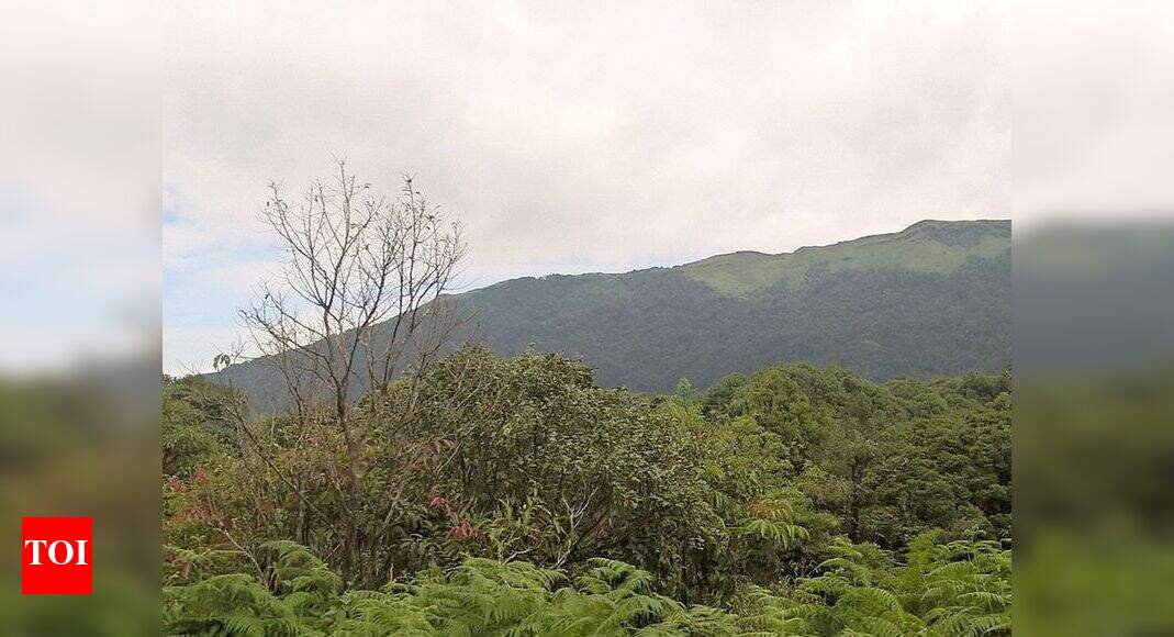 Reviving a forest through public-private partnership | Chennai News - Times of India