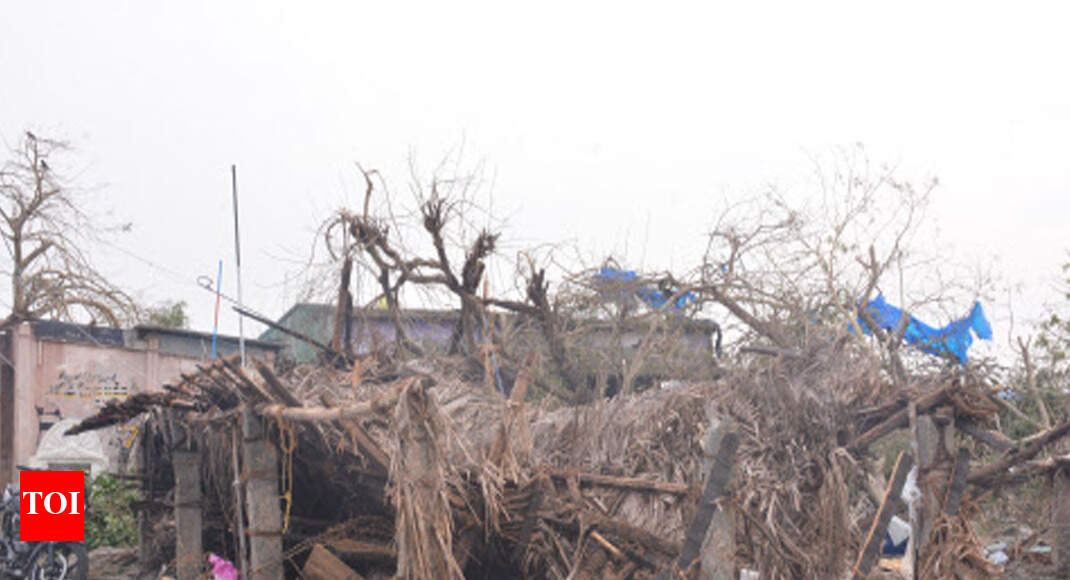 Cyclone Gaja effect: Farmers unable to raise cattle, forced to sell ...
