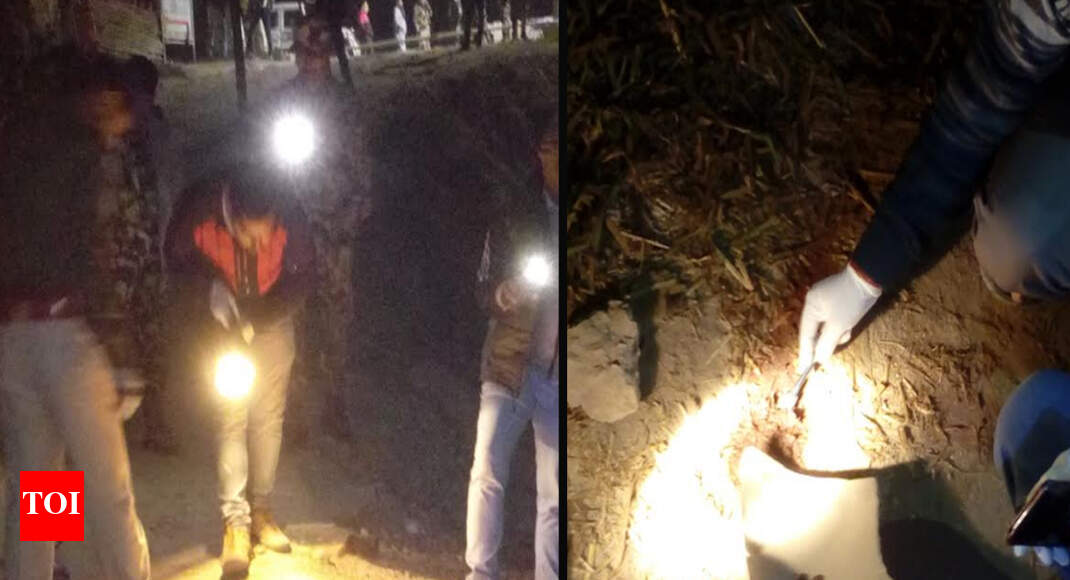 Patna: Pistol seized from cop's killer to be sent to FSL | Patna News ...