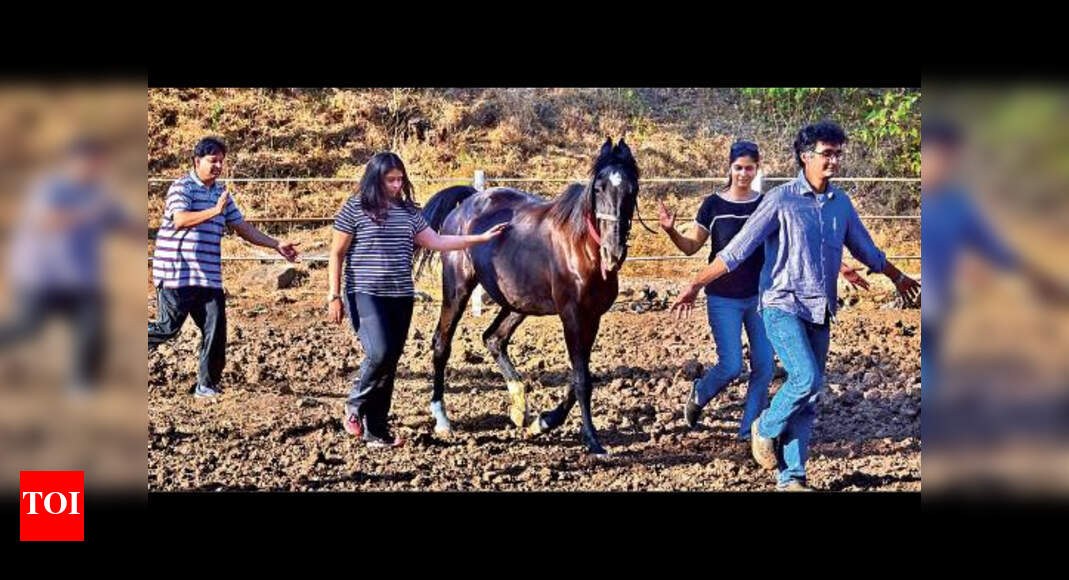 Learning from the horses to lead from the front | Pune News - Times of ...