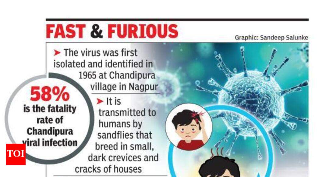 After 3 years, Chandipura virus infects six in state | Pune News ...