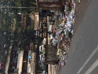 A Dumping Zone - Times of India