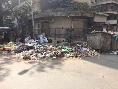 A Dumping Zone - Times of India