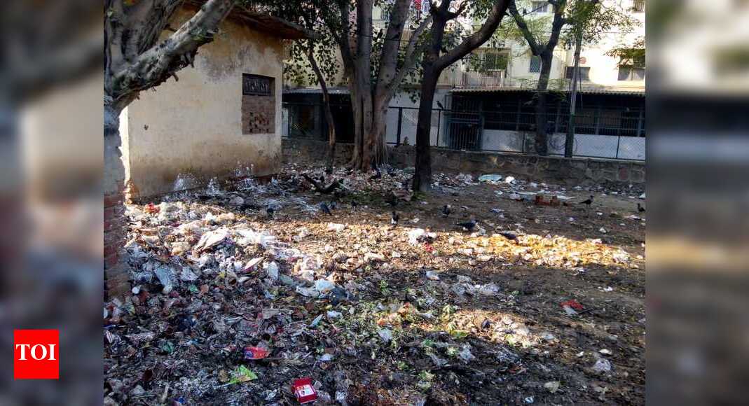 Vegetable peals, waste food and garbage on DDA ground - Times of India