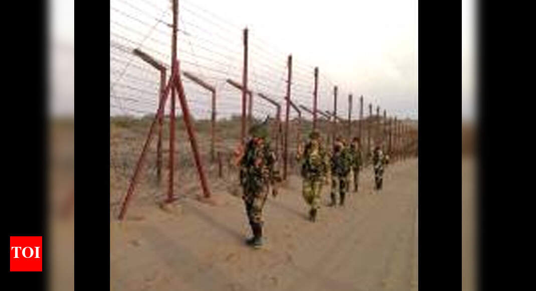 Operation Alert underway as fog engulfs border areas | Jaipur News ...