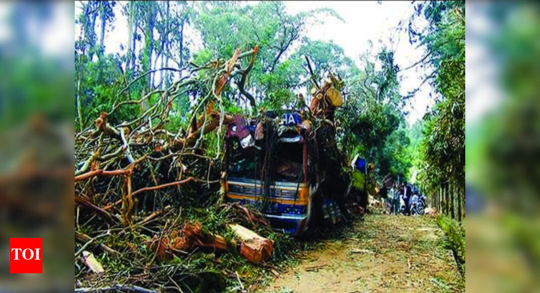 Decision on additional funds as cyclone Gaja relief in 2 weeks: Centre ...