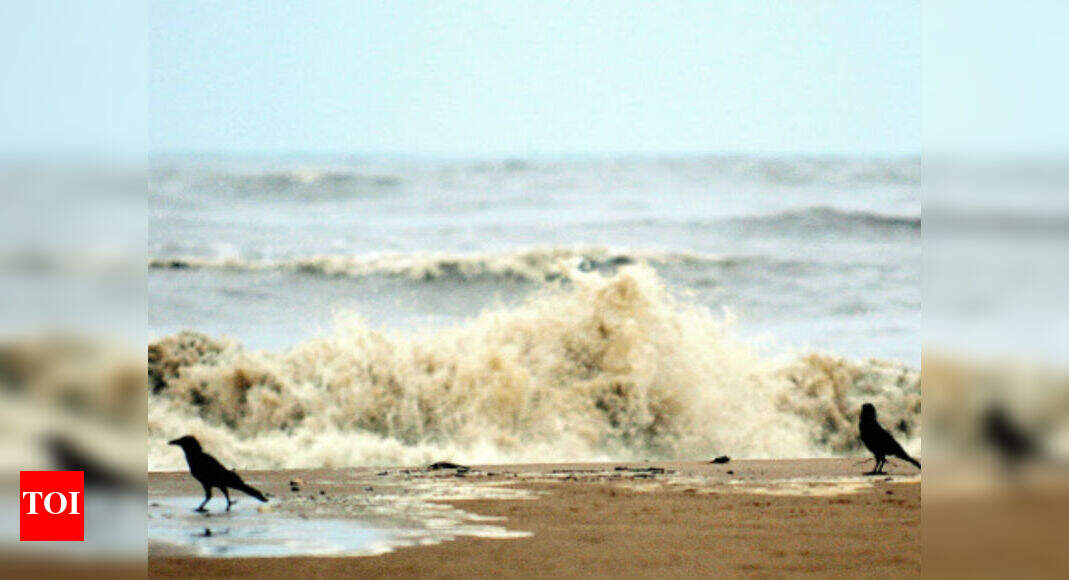 Sea levels could rise by up to 2.8 feet in India, says govt | India ...