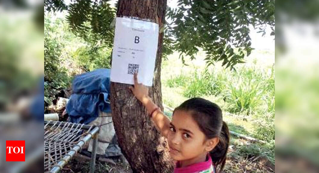 Zilla Parishad teacher tags trees with QR codes to prevent illegal tree ...