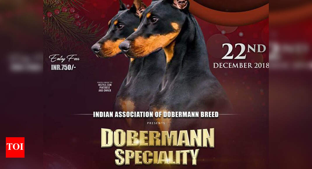 The Canine Club of Cochin organises two-day national Dog Show | Events ...