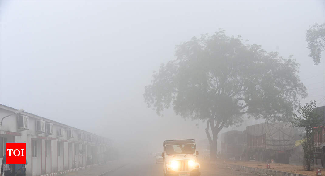 Fog affects rail, road traffic in the state | Jaipur News - Times of India