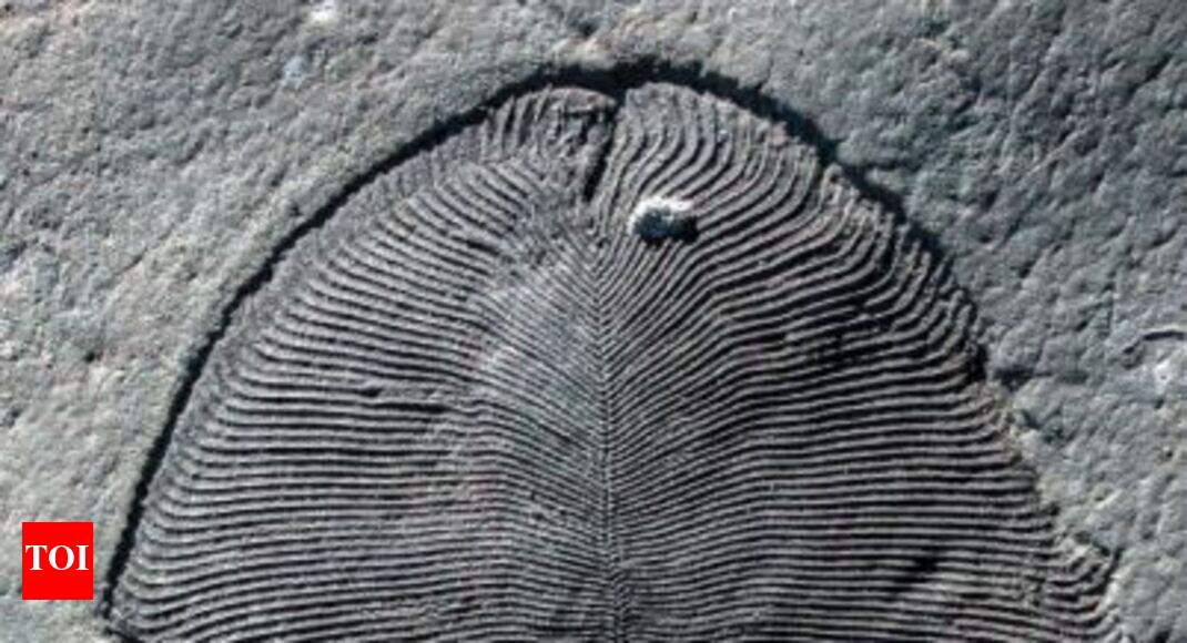 Top 10 scientific discoveries of 2018 - Times of India