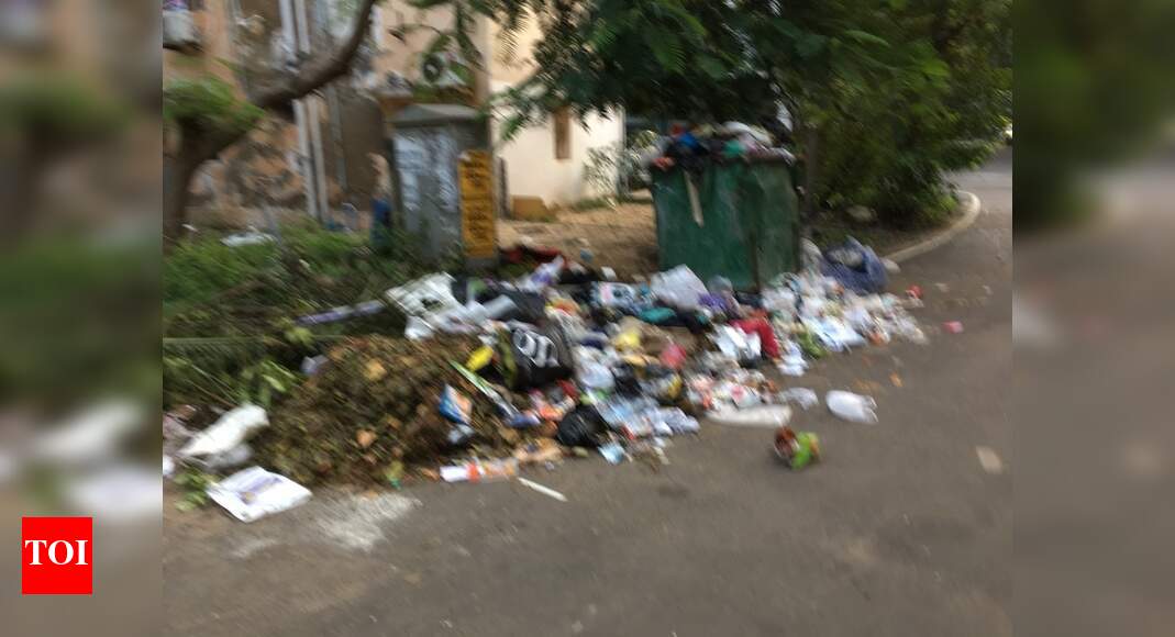 worst garbage management thiruvanmiyur - Times of India
