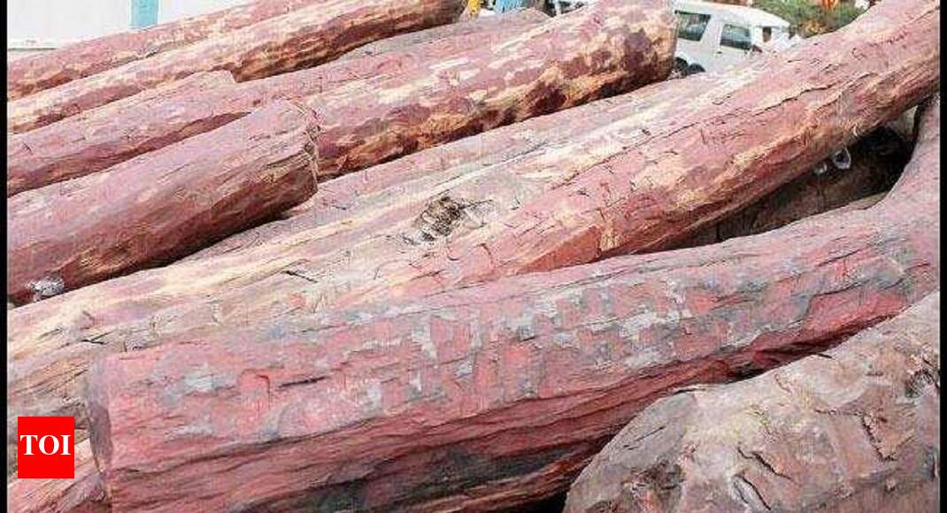 Ahead of polls, minor forest produce gets MSP hike | India News - Times ...