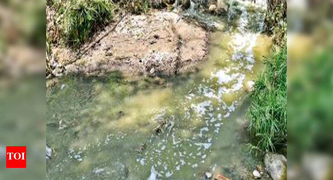 As water pollution levels go up, poor sewage management worries ...