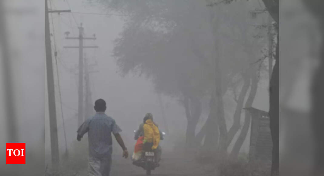 Kolkata sees coldest December in 4 years on Thursday as temperature dips to 11.5°C | Kolkata ...