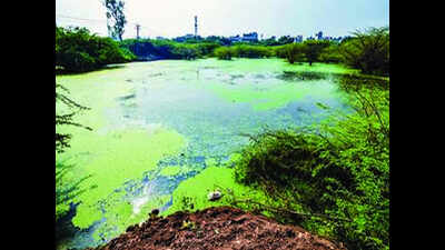 Corporation to tackle stagnation of sewage near Ukkadam plant ...