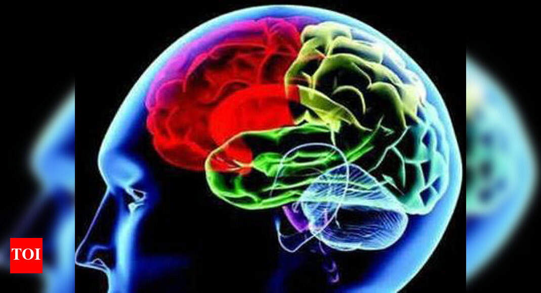 How our brain enables us to rapidly focus attention - Times of India