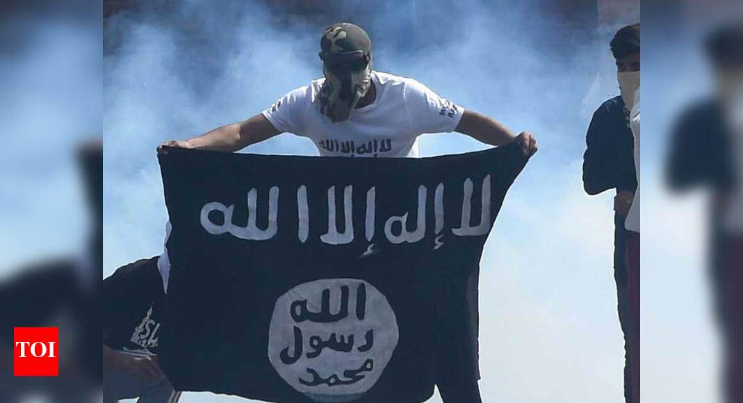 Youngsters carrying ISIS flags create ruckus at Jamia mosque | India ...