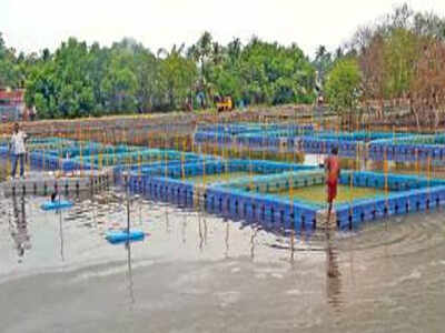 GCDA to lease out fish farm to private parties | Kochi News - Times of ...