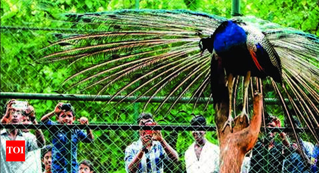 City corporation seeks more time to upgrade zoo at VOC Park ...