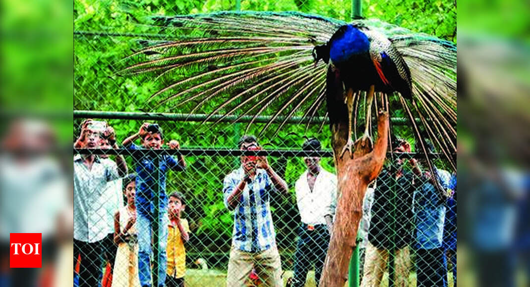 City corporation seeks more time to upgrade zoo at VOC Park ...