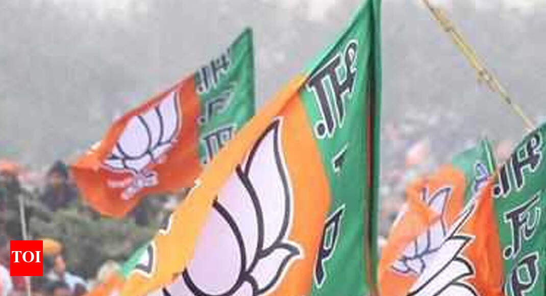 BJP bats for freedom fighter Uda Devi Pasi's 100-foot statue in Uttar ...