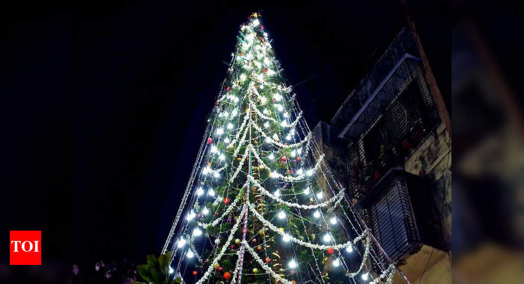 Do you believe in magic? This real-life Christmas story will surely ...