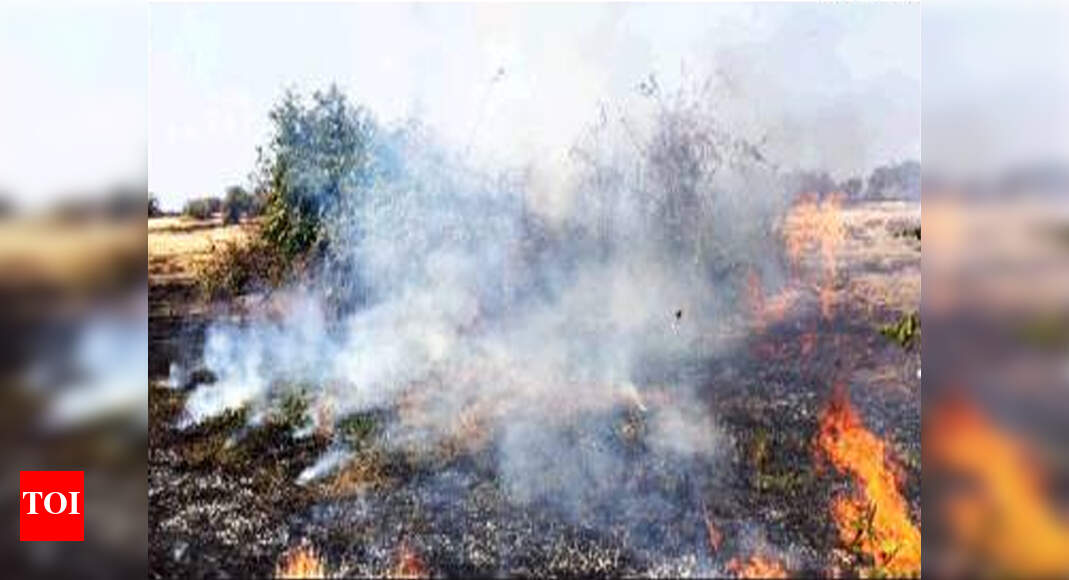 Pernem plateau fire ravages large tracts of farmland | Goa News - Times ...