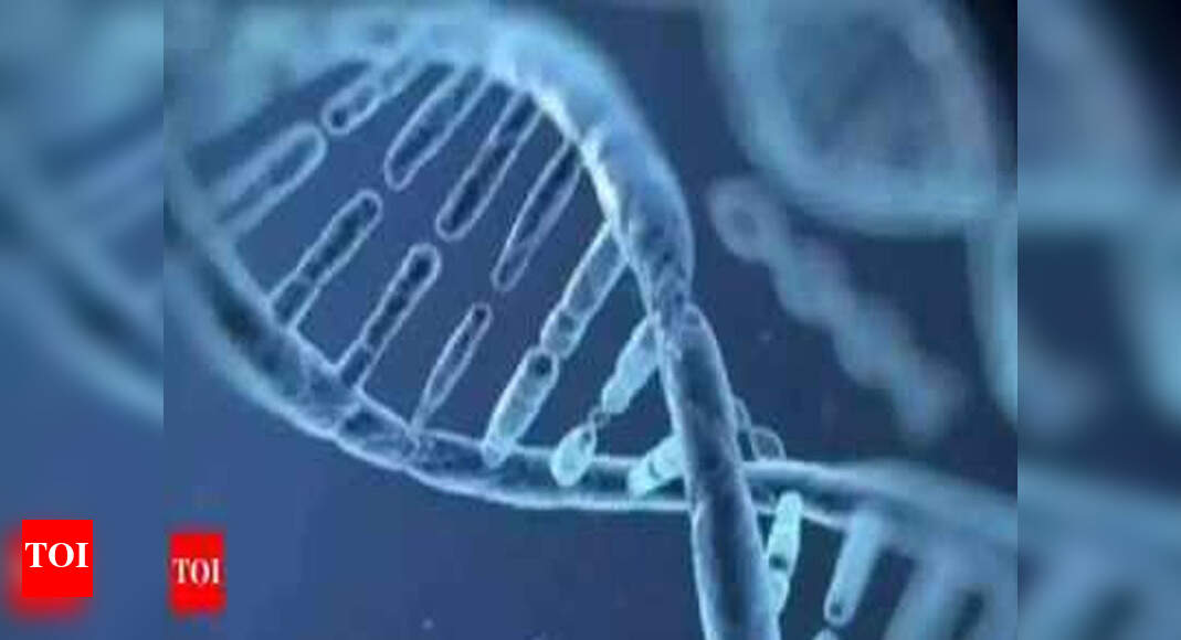 ‘DNA tests needed to ensure kids’safety’ | Goa News - Times of India