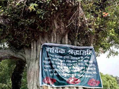 Lucknow: Tree that residents paid tribute to axed | Lucknow News ...