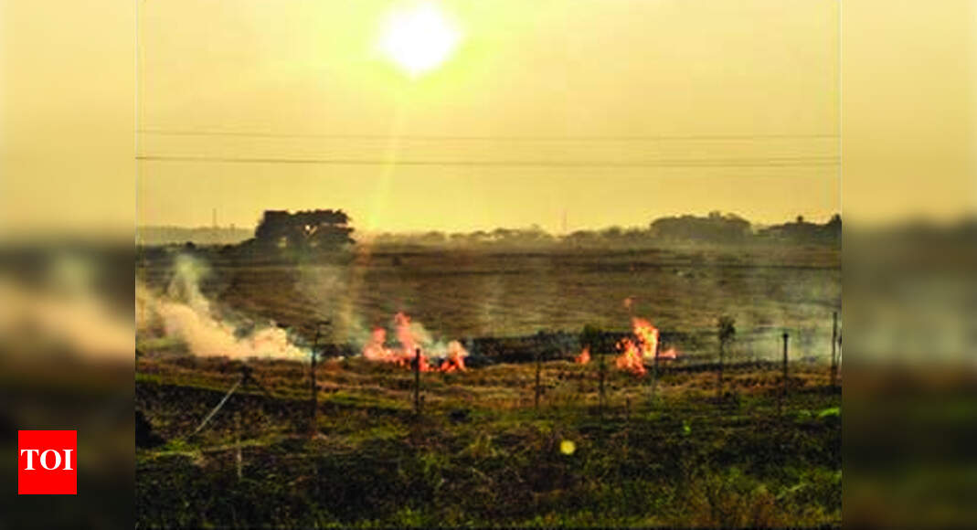 Burning of paddy stubble in coastal districts worries green activists ...