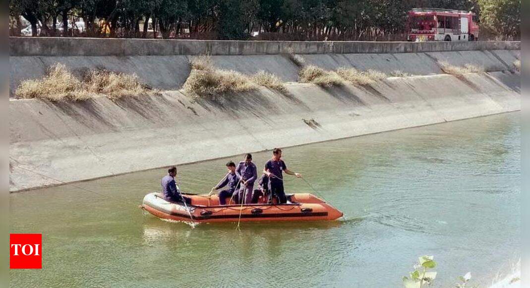 Man falls in Narmada canal | Vadodara News - Times of India